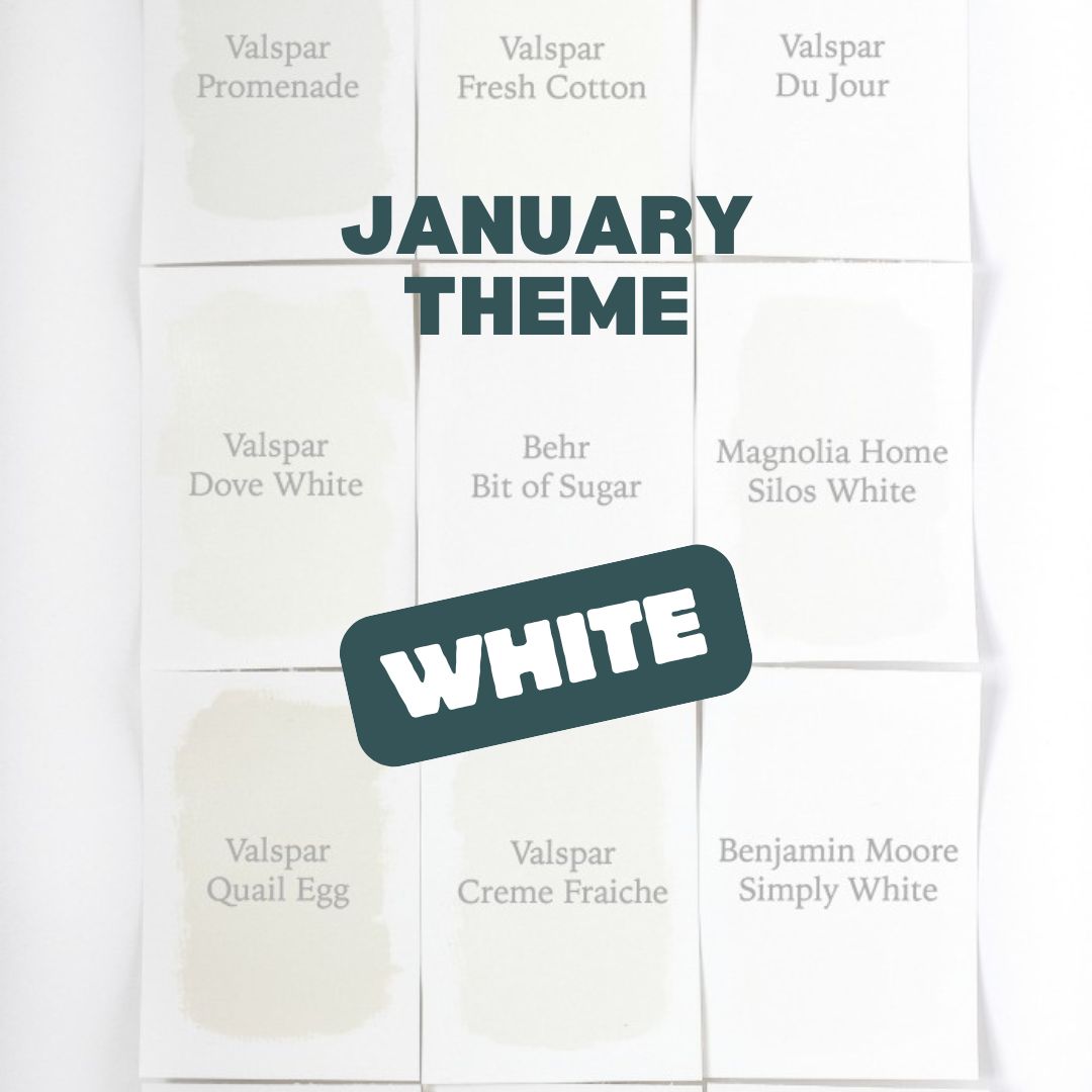 January Theme: White – Read With Lindsey